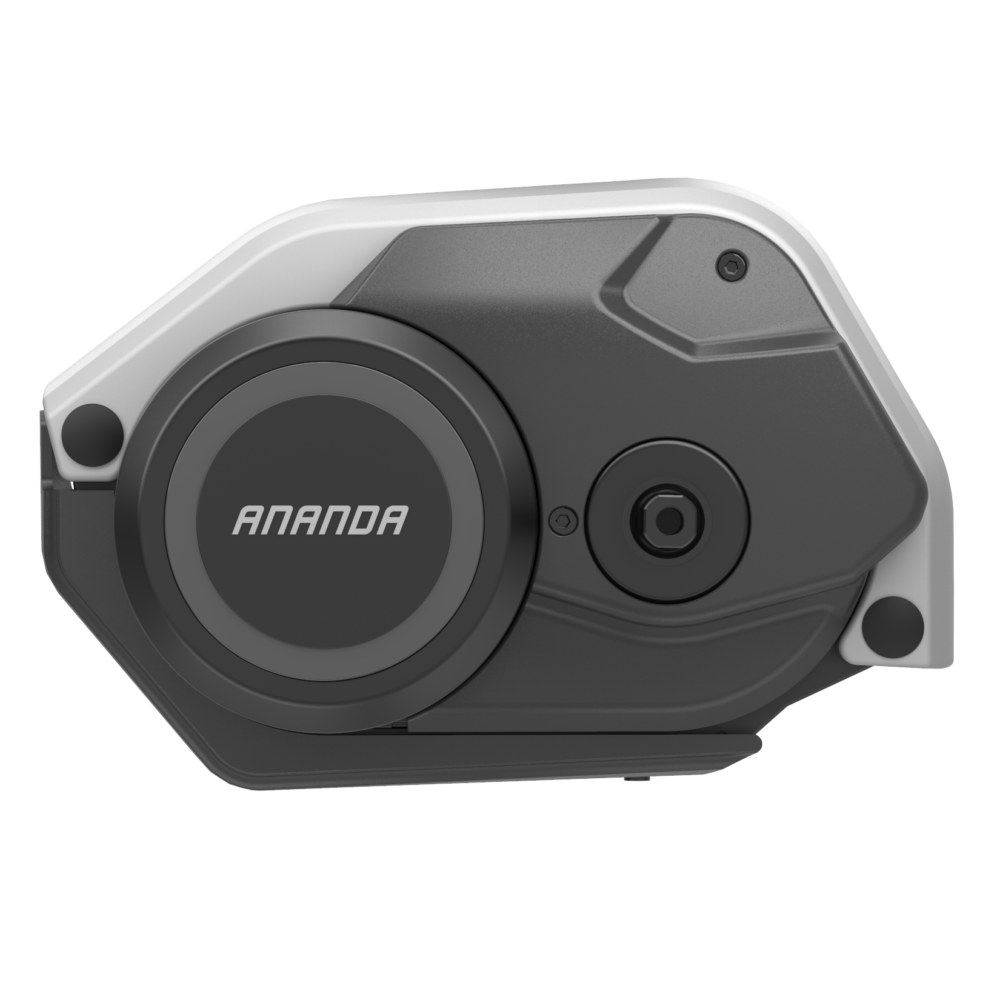 M100 - Ananda