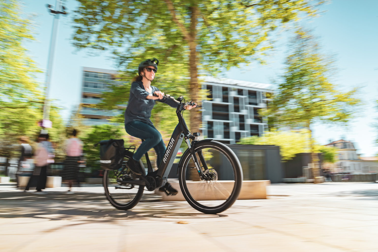 远途电助力自行车 - Ananda